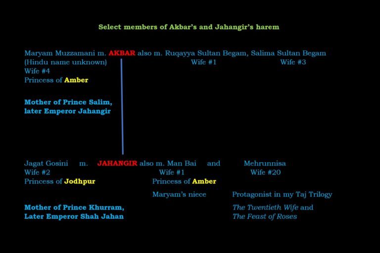 Was Jodha Bai really Akbar's wife?